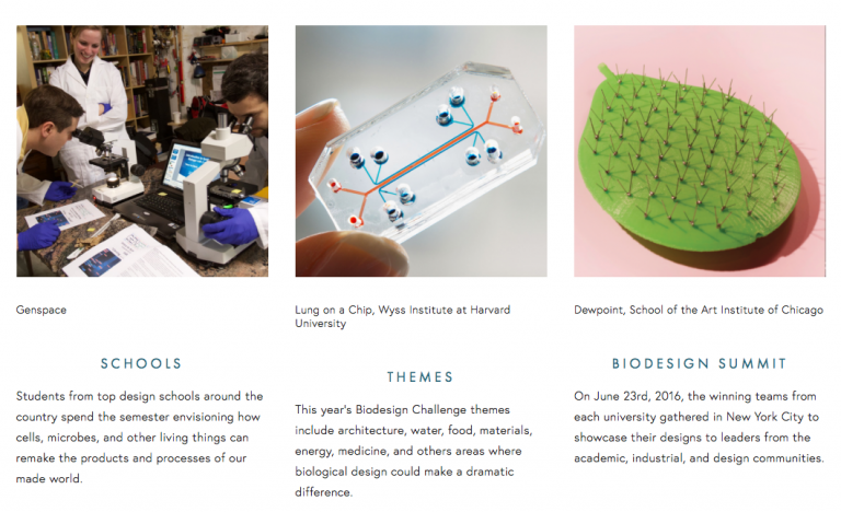 Biodesign Challenge! Special Topics: Sculpture 50:080:490 | Elizabeth ...